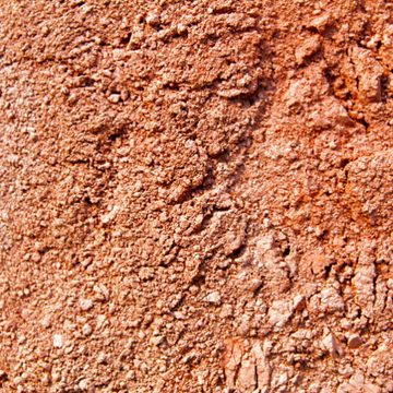 Solaria Mineral SPF 50+ | Antioxidant Sunscreen Serum | toty